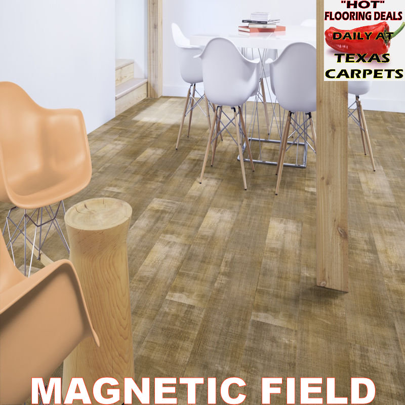 Magnetic Field | Milliken